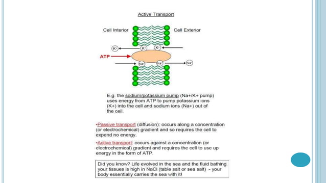 Properties of cells & cell membrane | PPTX
