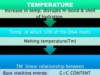 Properties of dna | PPTX