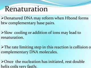 Properties of dna | PPTX