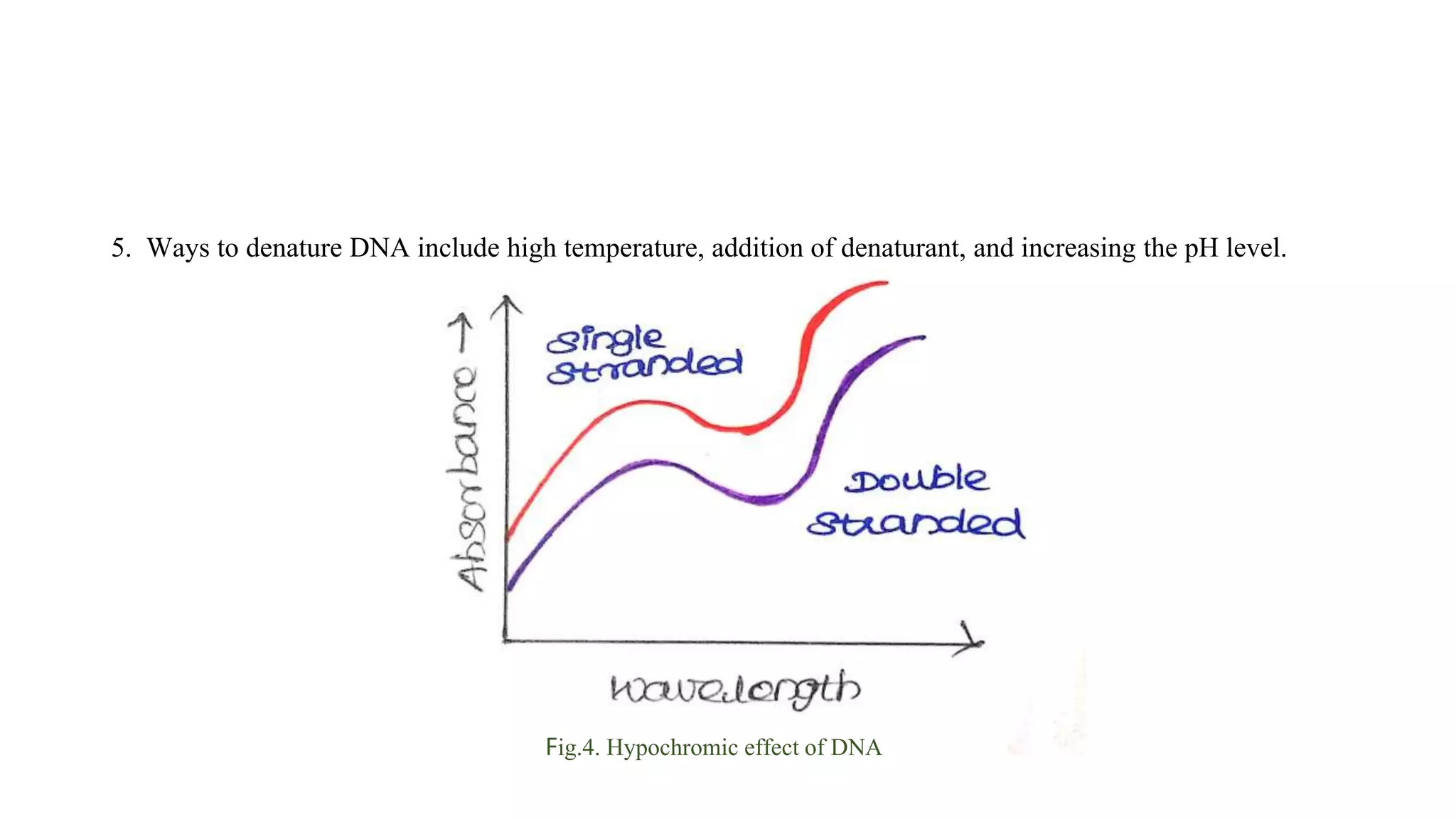 Properties of DNA.pptx