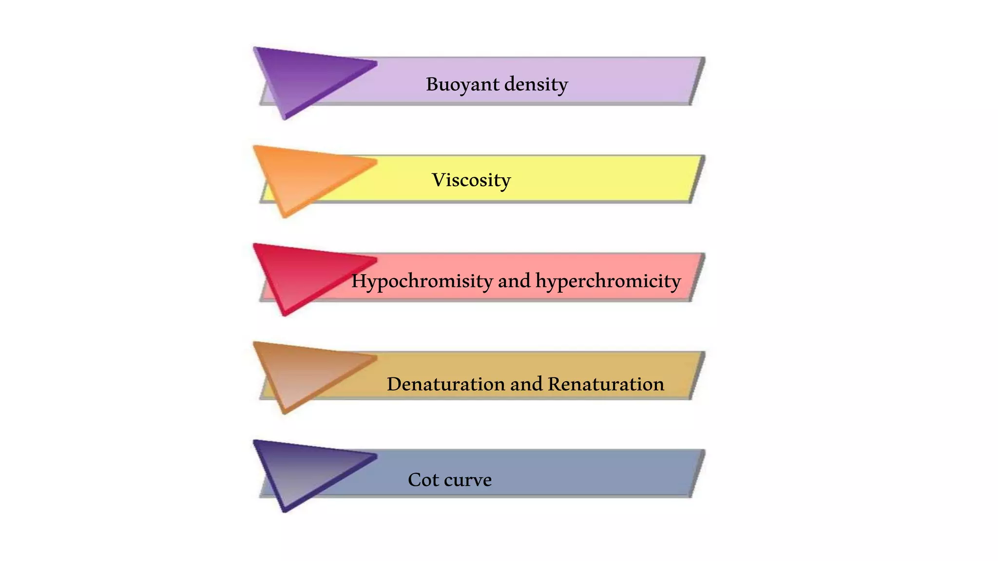 Properties of DNA.pptx