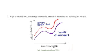 Properties of DNA.pptx