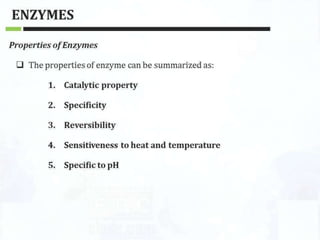 Properties of enzymes | PPTX