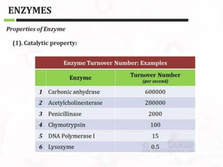 Properties of enzymes | PPTX