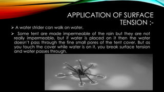 Properties of Fluids | PPTX
