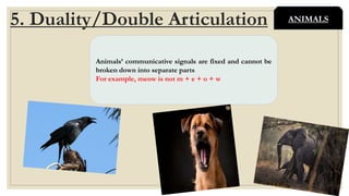 Properties of human language | PPTX