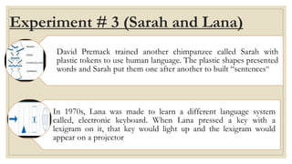 Properties of human language | PPTX