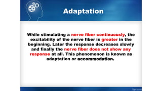 PHYSIOLOGY & PROPERTIES OF NERVE FIBERS.pptx