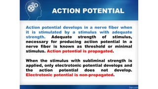 PHYSIOLOGY & PROPERTIES OF NERVE FIBERS.pptx