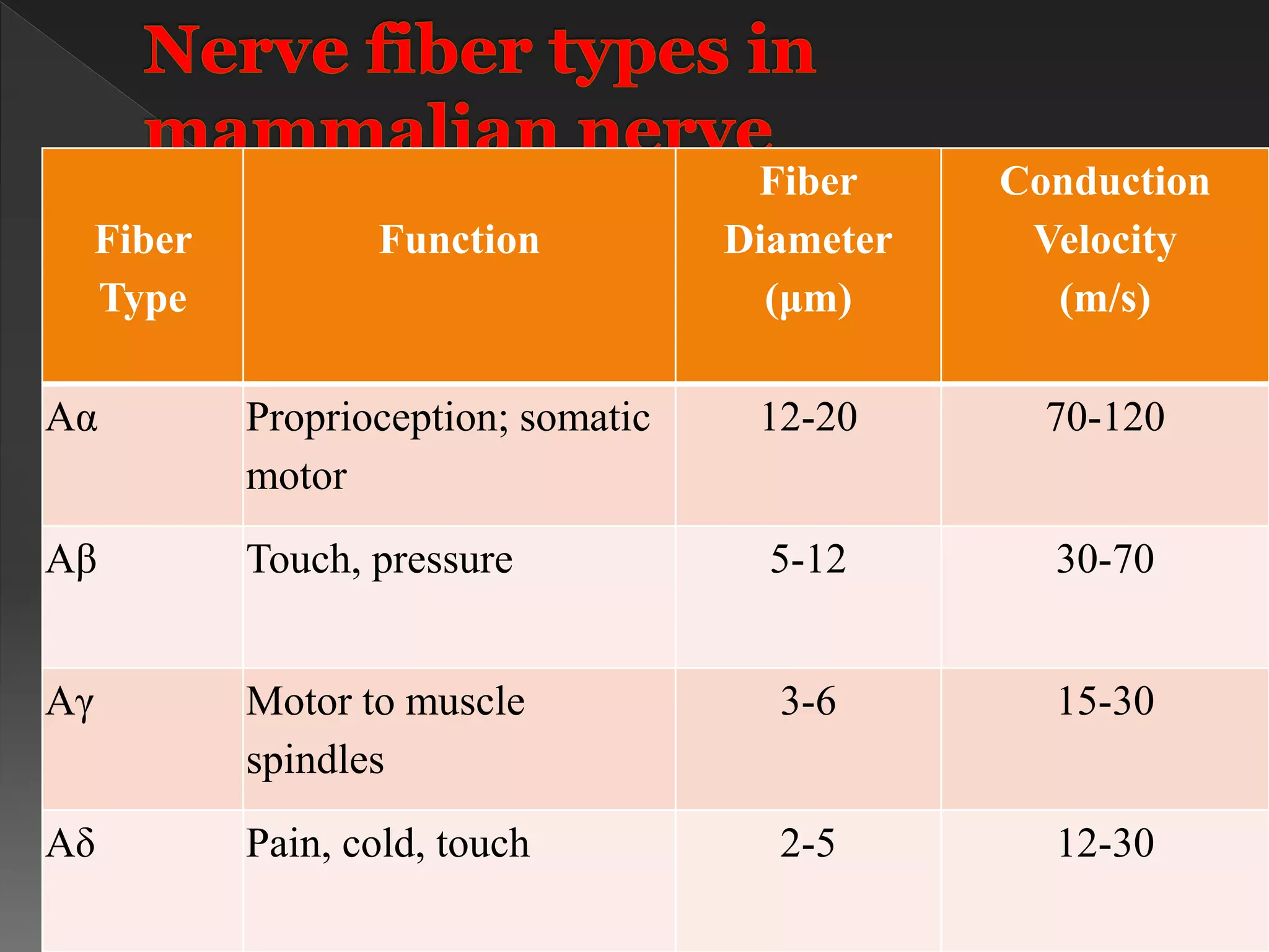 Properties of nerve fibre | PPTX