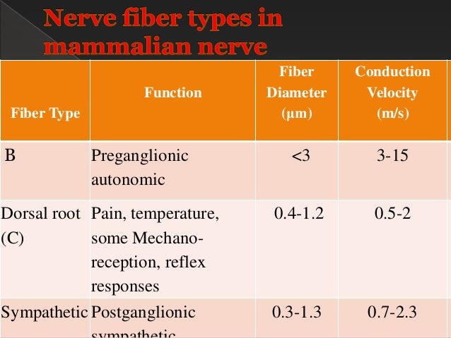 Properties of nerve fibre
