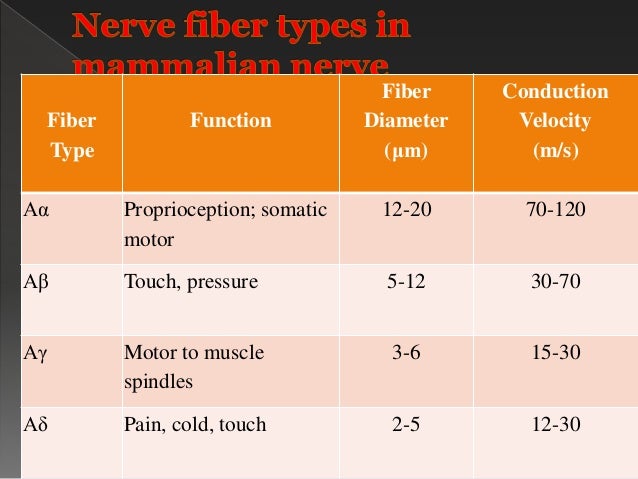 Properties of nerve fibre