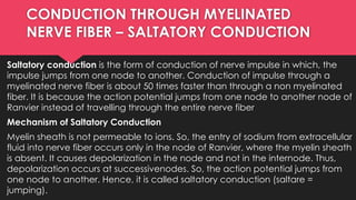 PROPERTIES OF NERVE FIBRE- NEUROLOGICAL PHYSIOLOGY | PPTX