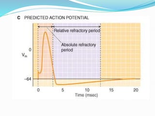 PROPERTIES OF NERVE FIBRES,and graphs.pptx
