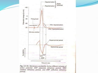 PROPERTIES OF NERVE FIBRES,and graphs.pptx