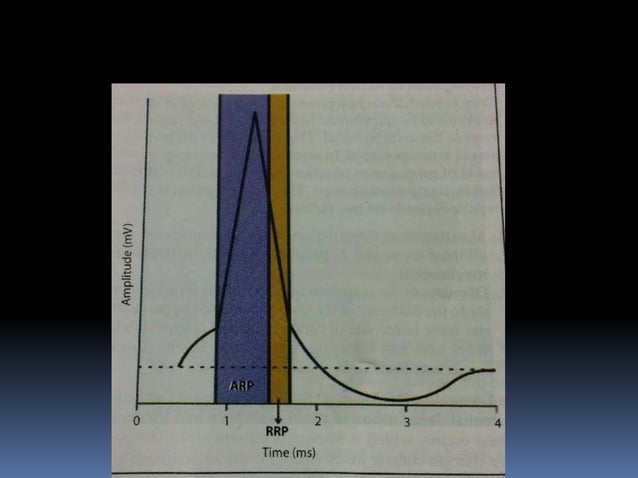 PROPERTIES OF NERVE FIBRES,and graphs.pptx