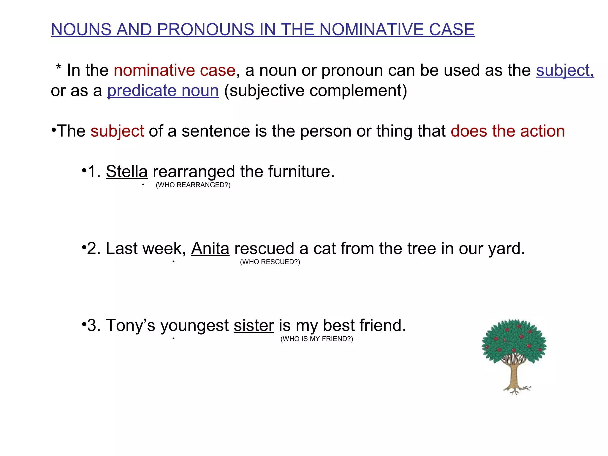 Properties of nouns and pronouns | PPT