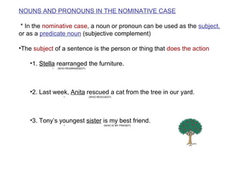 Properties of nouns and pronouns | PPT