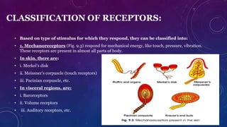 Properties of receptors | PPT