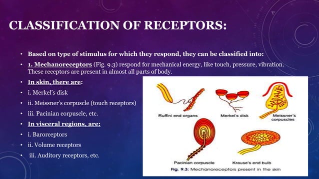 Properties of receptors | PPT