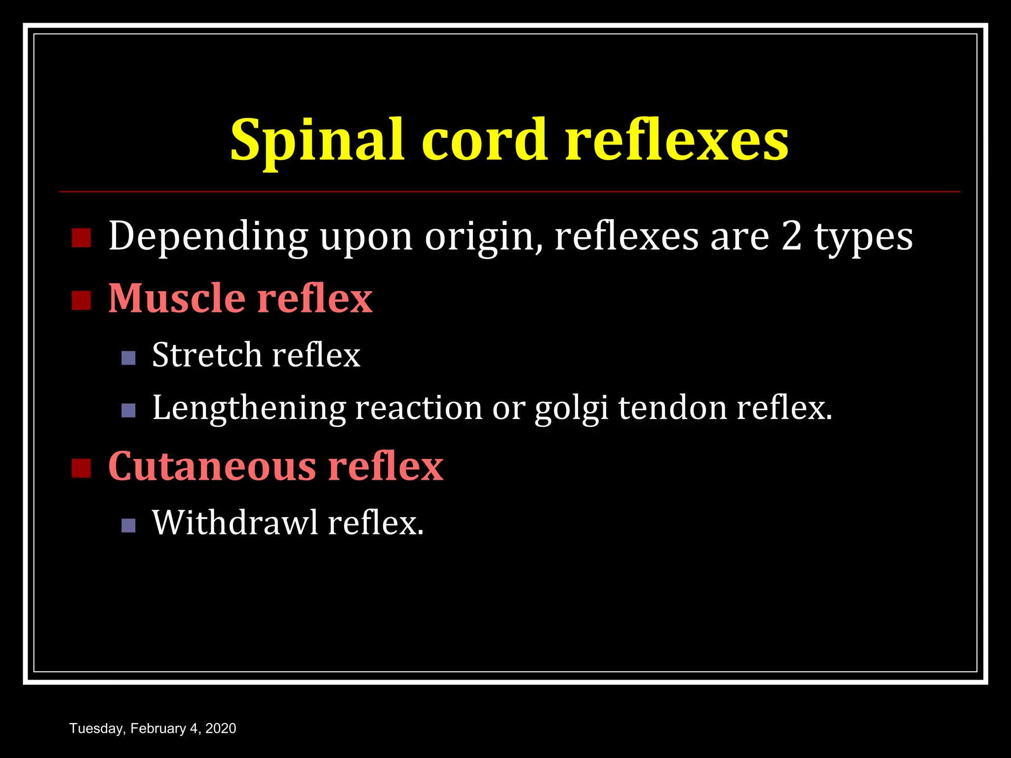 Properties of reflexes | PPT
