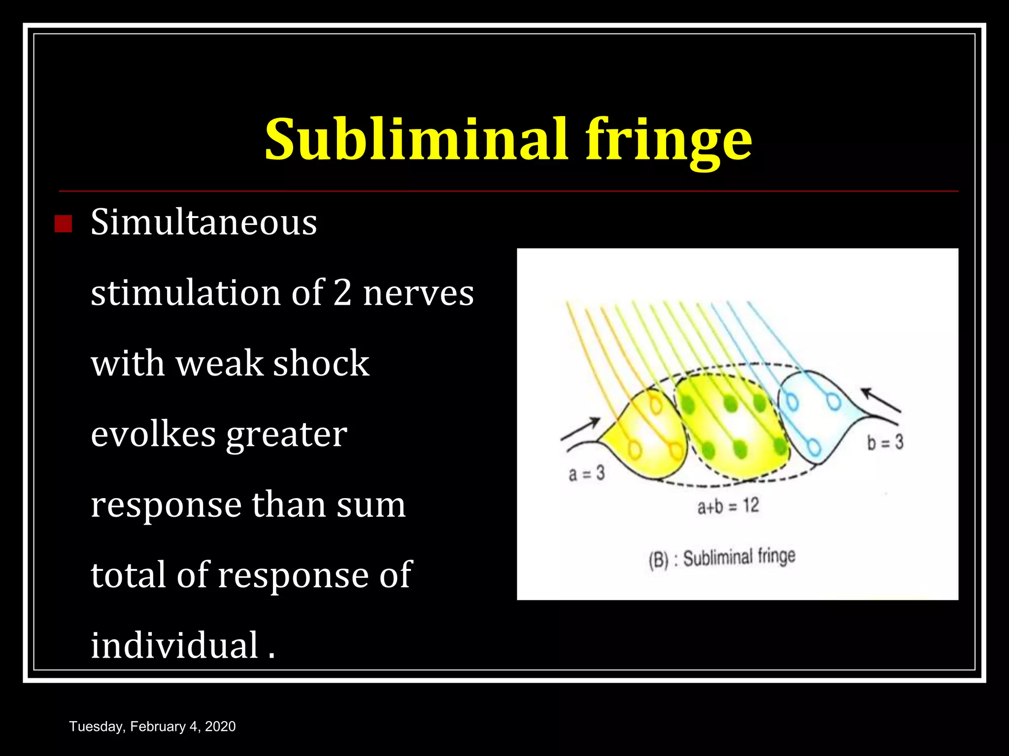 Properties of reflexes | PPT