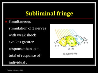 Properties of reflexes | PPT