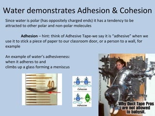 Properties of seawater | PPT