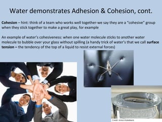 Properties of seawater | PPT