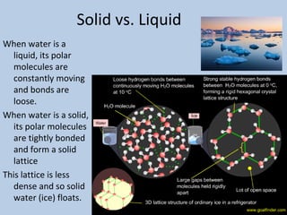 Properties of seawater | PPT