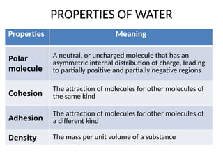 Properties and Various Distribution of Seawater | PPTX