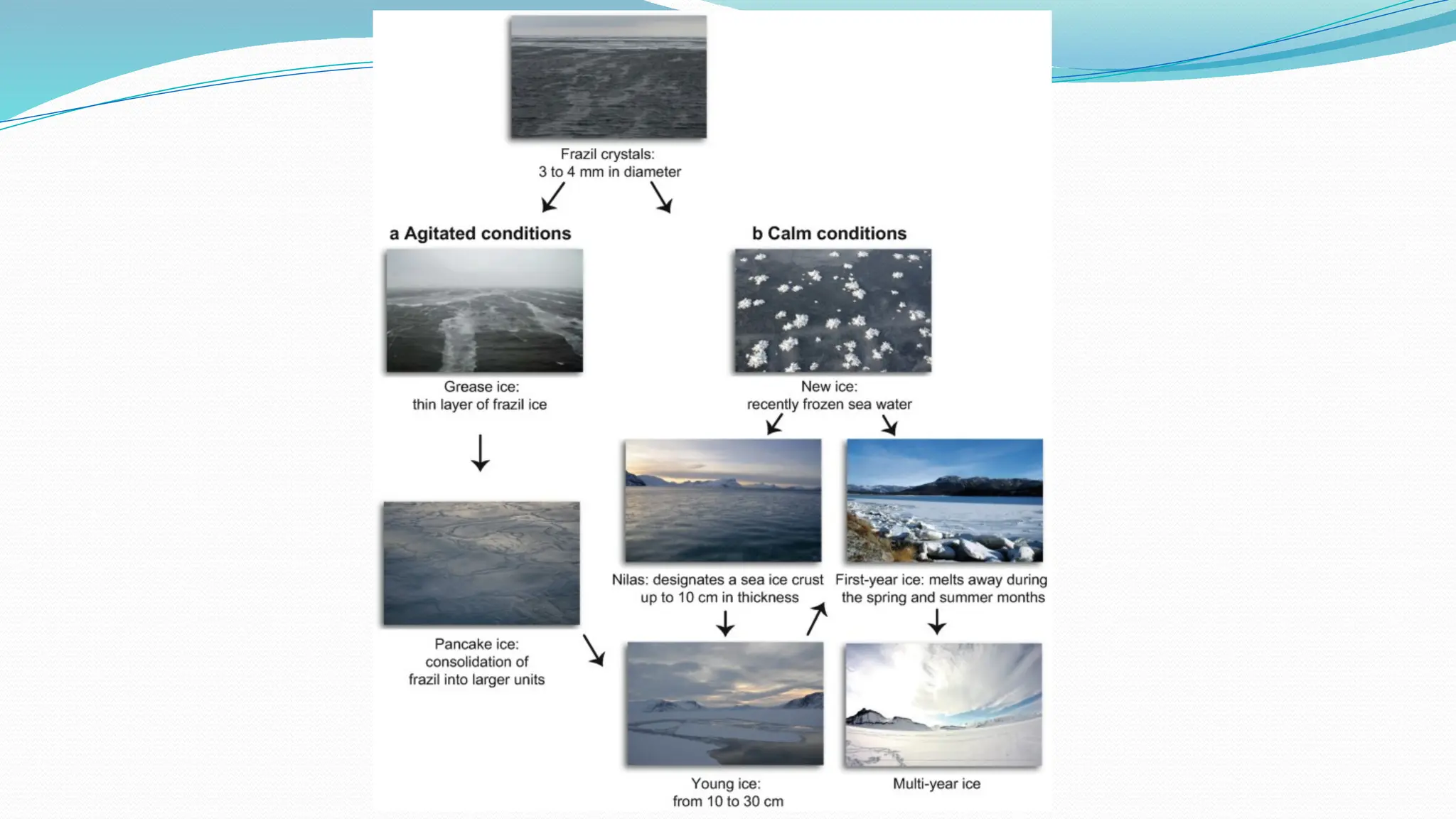 Physical properties of seawater and physical properties of sea ice and ...