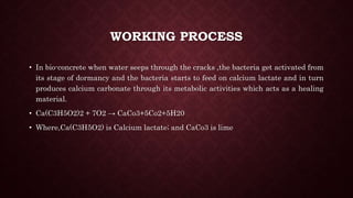 Properties of self healing concrete | PPTX