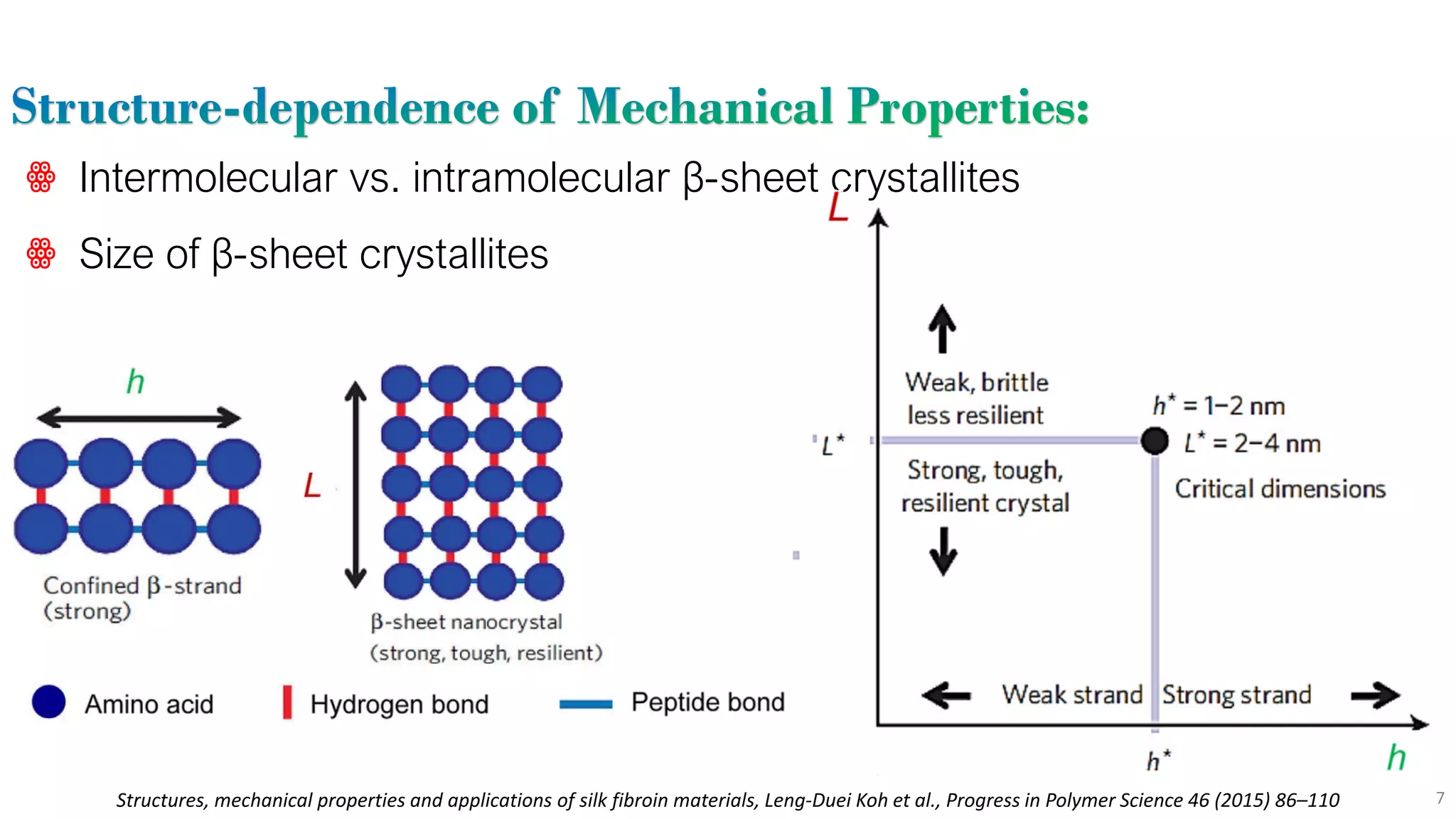 Properties of silk | PDF