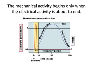 Properties of skeletal muscle | PPTX