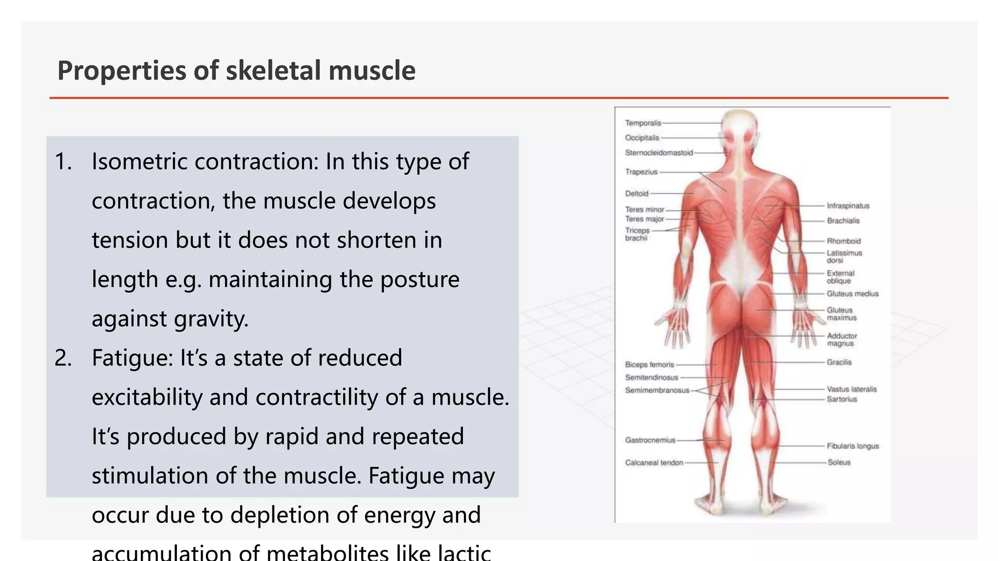 properties of skeletal muscleP.pptx