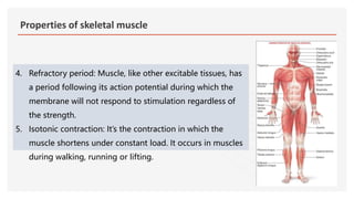 properties of skeletal muscleP.pptx