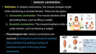 Properties of skeletal musclessssssssssss | PDF