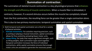 Properties of skeletal musclessssssssssss | PPT