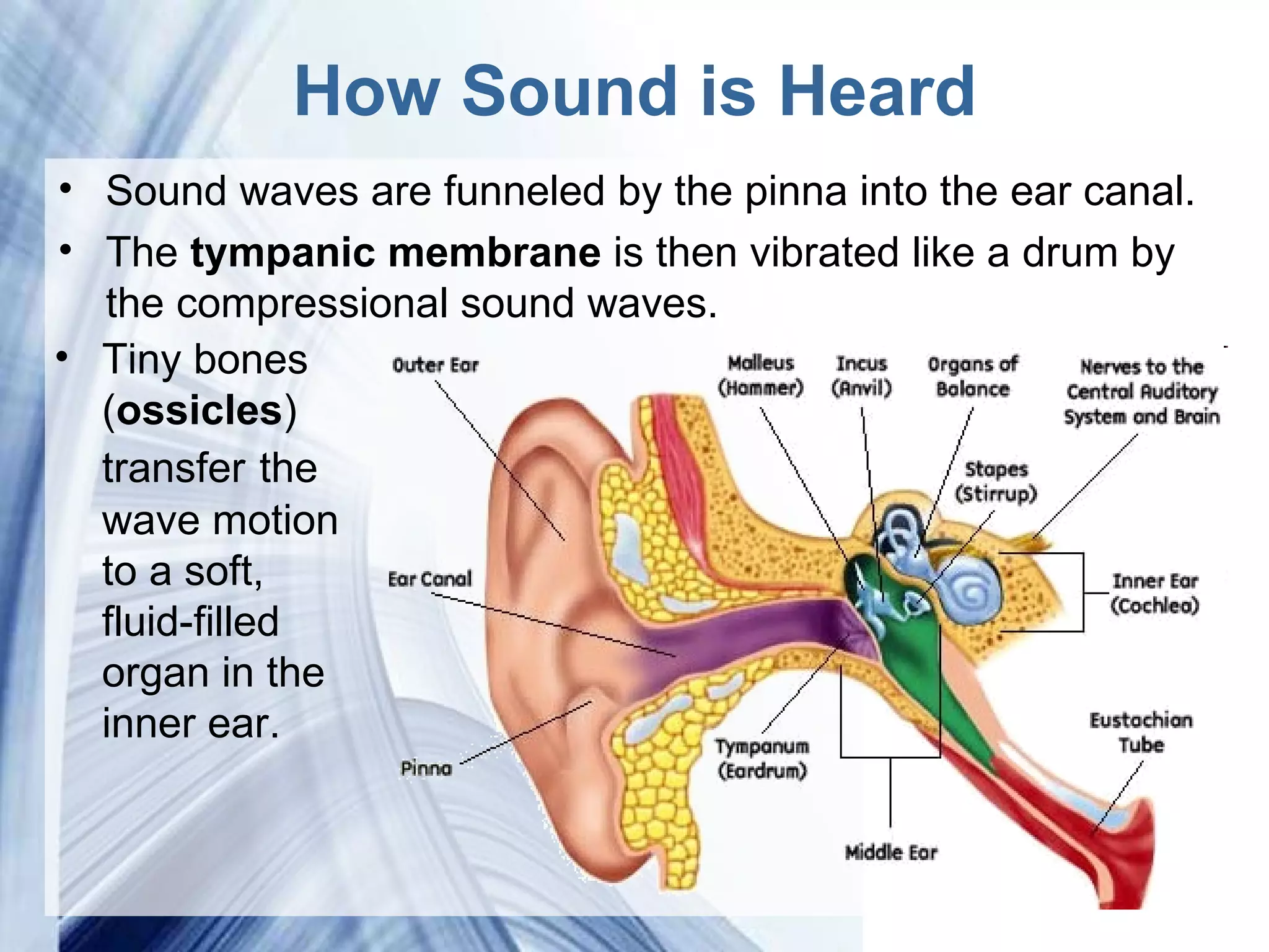 Properties of Sound | PPT
