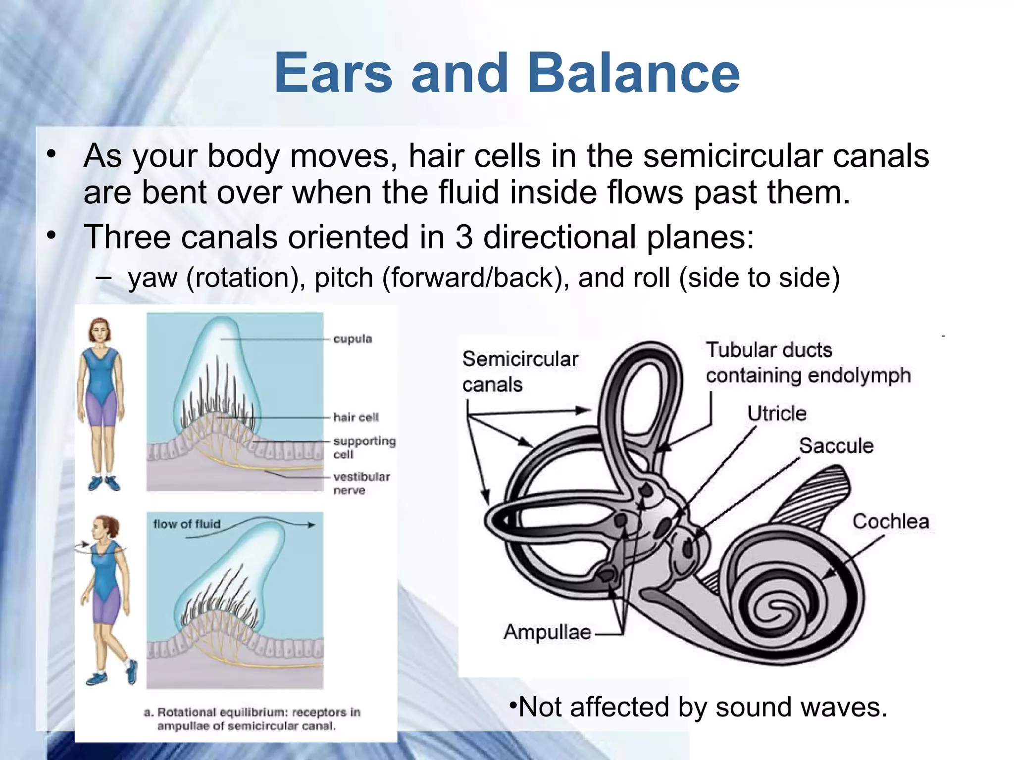 Properties of Sound | PPT