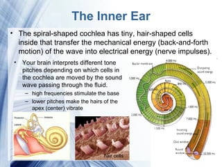 Properties of Sound | PPT
