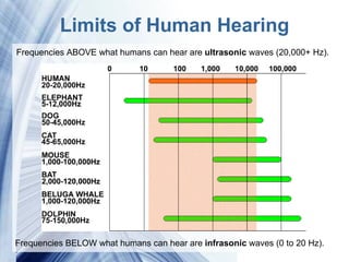 Properties of Sound | PPT