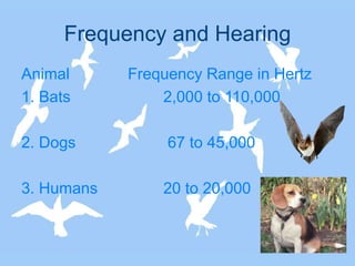 Properties of sound | PPT