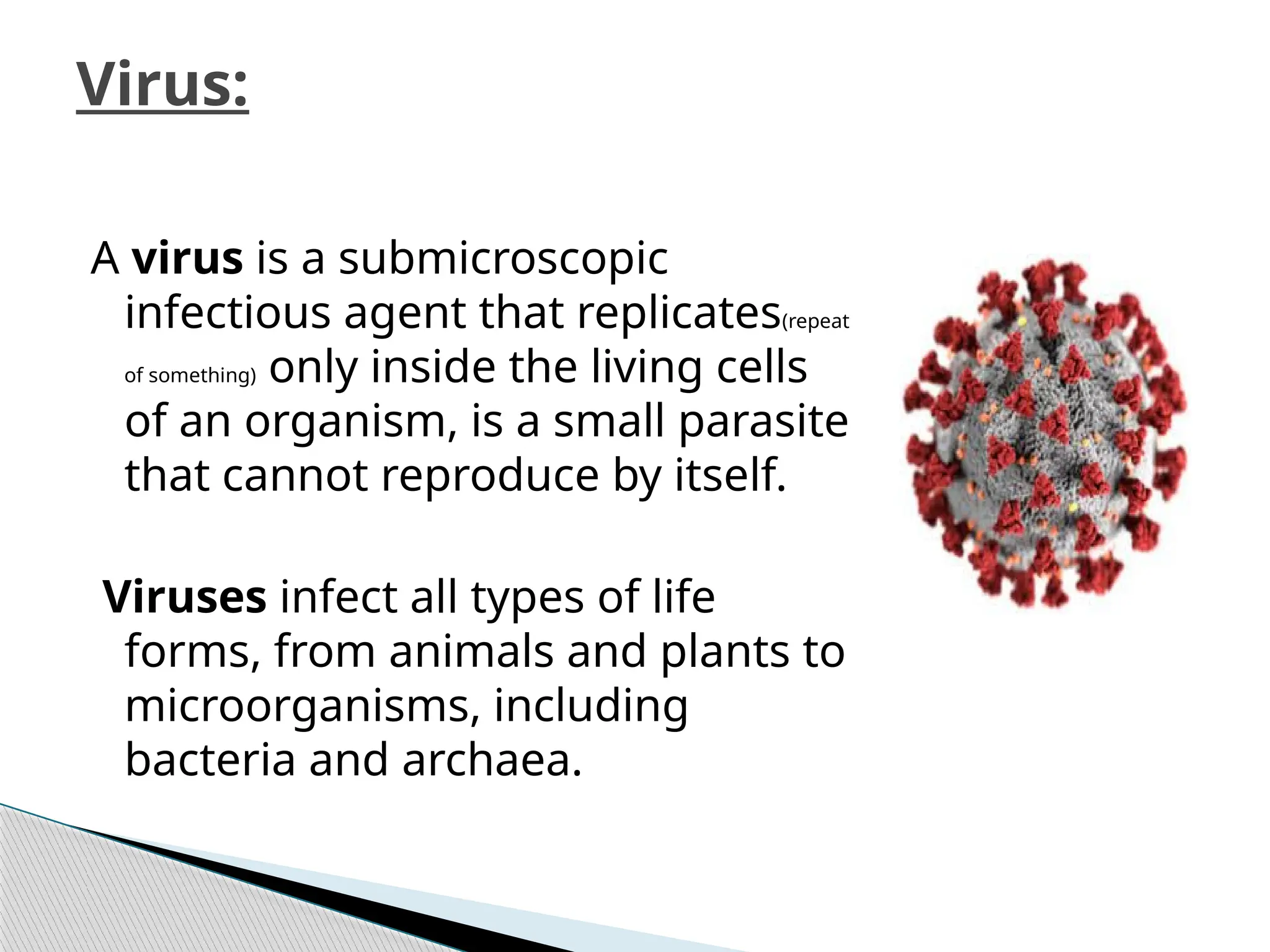Basic properties of virus microbiology.pptx