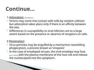 Basic properties of virus microbiology.pptx