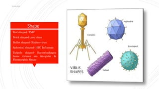 Properties of viruses | PPTX | Chemistry | Science