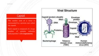 Properties of viruses | PPTX