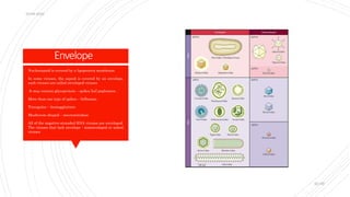 Properties of viruses | PPTX