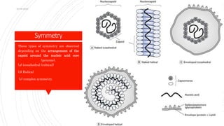 Properties of viruses | PPTX
